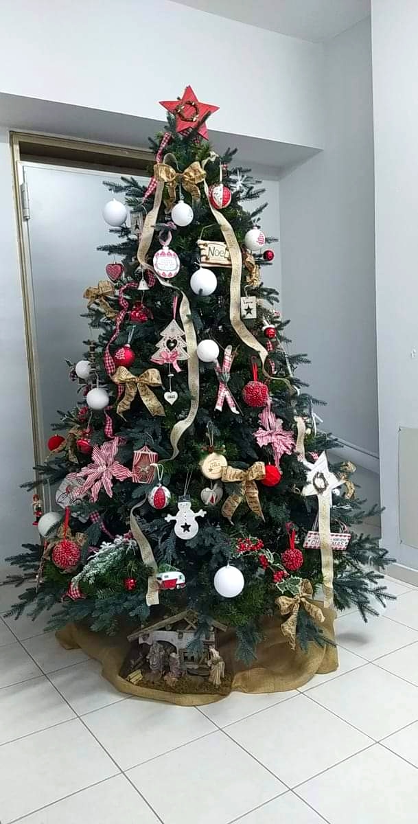 Ο ΣΤΟΛΙΣΜΟΣ ΤΟΥ ΧΡΙΣΤΟΥΓΕΝΝΙΑΤΙΚΟΥ ΔΕΝΤΡΟΥ ΣΤΙΣ ΔΟΜΕΣ ΑΣΤΕΓΩΝ ΤΟΥ ΚΟΔΗΠ ...