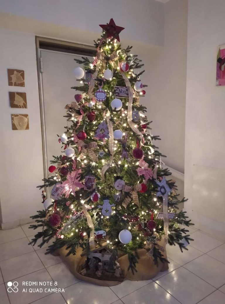 Ο ΣΤΟΛΙΣΜΟΣ ΤΟΥ ΧΡΙΣΤΟΥΓΕΝΝΙΑΤΙΚΟΥ ΔΕΝΤΡΟΥ ΣΤΙΣ ΔΟΜΕΣ ΑΣΤΕΓΩΝ ΤΟΥ ΚΟΔΗΠ ...